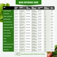 15 Lettuce & Salad Greens Seeds MVR1 Variety Pack Lettuce Garden Salad ...