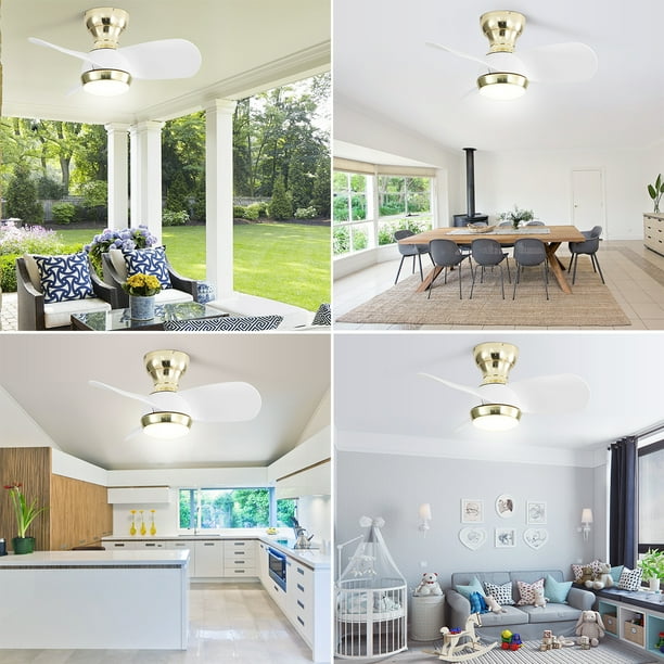 Small Kitchen Ceiling Fan With Lights | Shelly Lighting