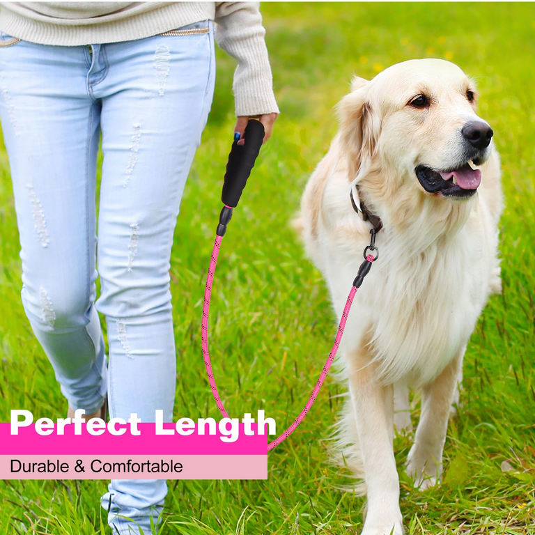 Best Retractable Leash For Golden Retriever at Kevin Blankenship blog