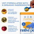 Native Pet Organic Pumpkin Fiber Powder for Dogs & Cats, Supplement for ...