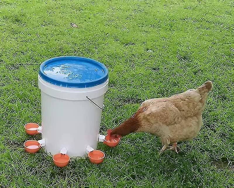 5 Piezas, Bebedero para Gallinas, Kit de Bebedero Automático para ...
