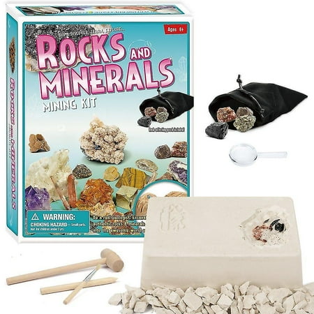 Digging Up Fossils Toy Diy Archaeological Excavation Kit Crystal Fossil ...