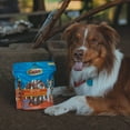 Cadet Gourmet Triple-Flavored Beef TMA2 Hide Shish Kabob Dog Treats ...