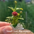 Miniature Clay Flower Collectible, Realistic Micro Rose & Lotus ...