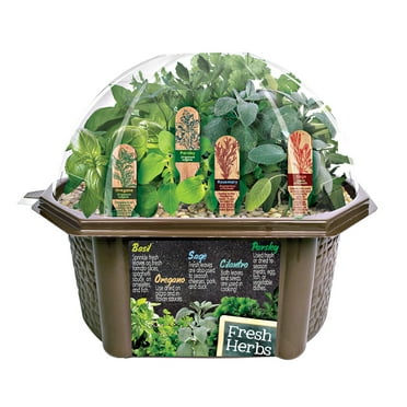 Toys By Nature - Morgan the Mighty Mover - Indoor Micro-Gardening Kit ...