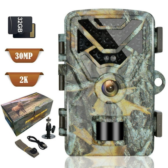 Outdoor Motion Activated Cameras