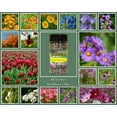 Bloomers 3LB Honeybee Wildflower Mix - 100% Pure Seed, All Season, Low ...
