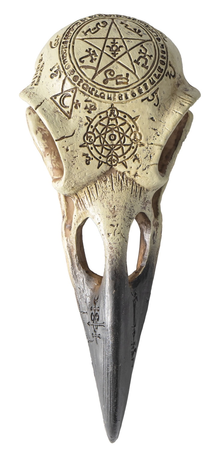 Ebros Pentagram Omega Alchemy Raven Crow Skull Figurine with Carved ...