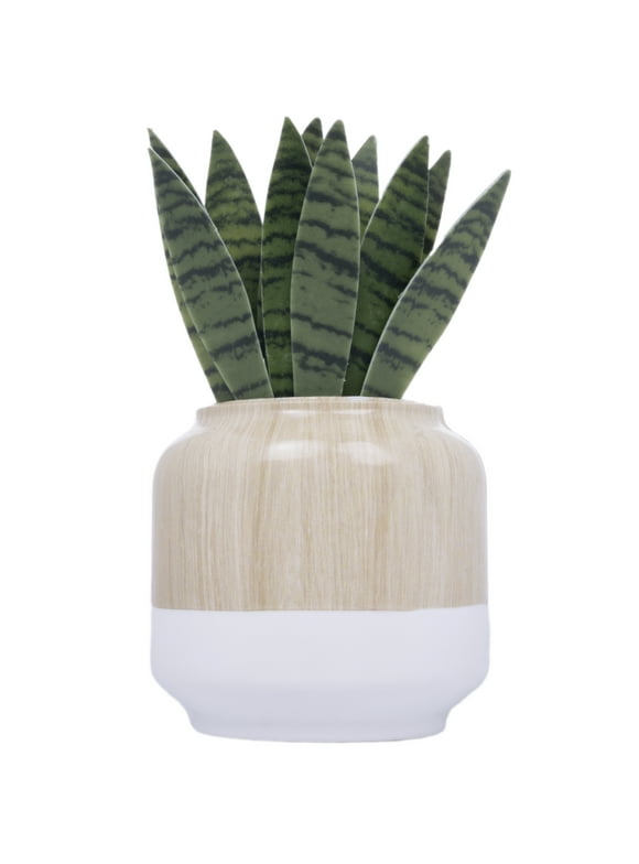 Plug In Diffusers in Candles & Home Fragrance - Walmart.com