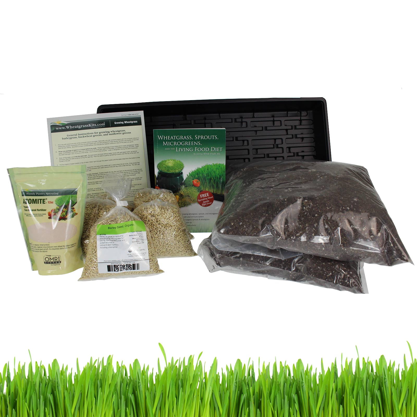 Barley Grass Growing Kit- Grow & Juice Barleygrass: Includes: Barley ...