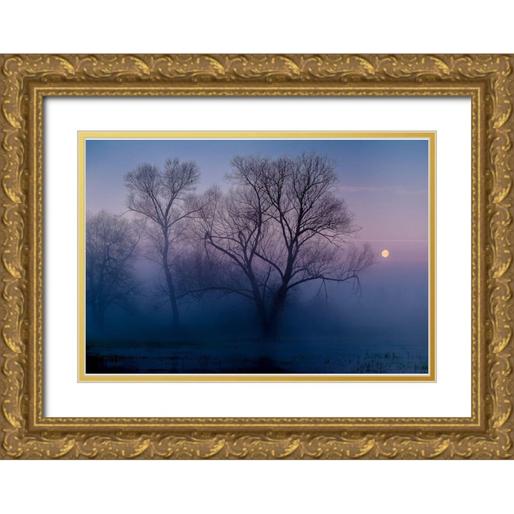 Agazzi, Andreas 24x18 Gold Ornate Wood Framed with Double Matting Museum Art Print Titled ...