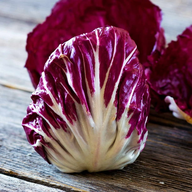 Radicchio Garden Seeds - Palla Rosa Variety - 2 g Packet ~1000 Seeds ...