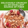 Simple Truth Organic Bran Flakes Cereal - 15 oz - Walmart.com