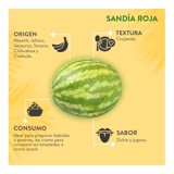 Sandía roja por kilo | Walmart en línea