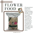 Chrysal, Flower Boost, 200 ct, Recyclable Paper Flower Food - Walmart.com