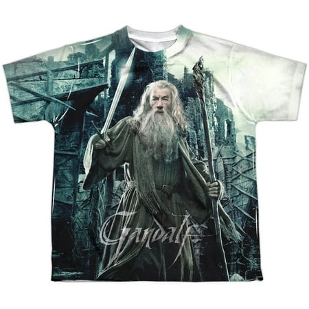 UPC 887806658358 - Hobbit - Wizard (Front/Back) - Youth Short Sleeve ...