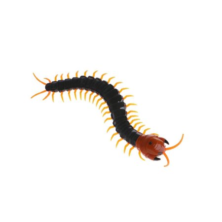 Rechargable Electric Infrared Remote Control Electric RC Centipede ...