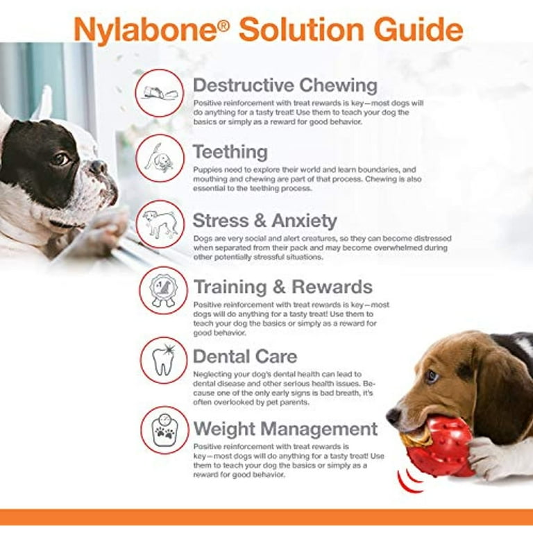 Are Nylabones Dangerous For Dogs