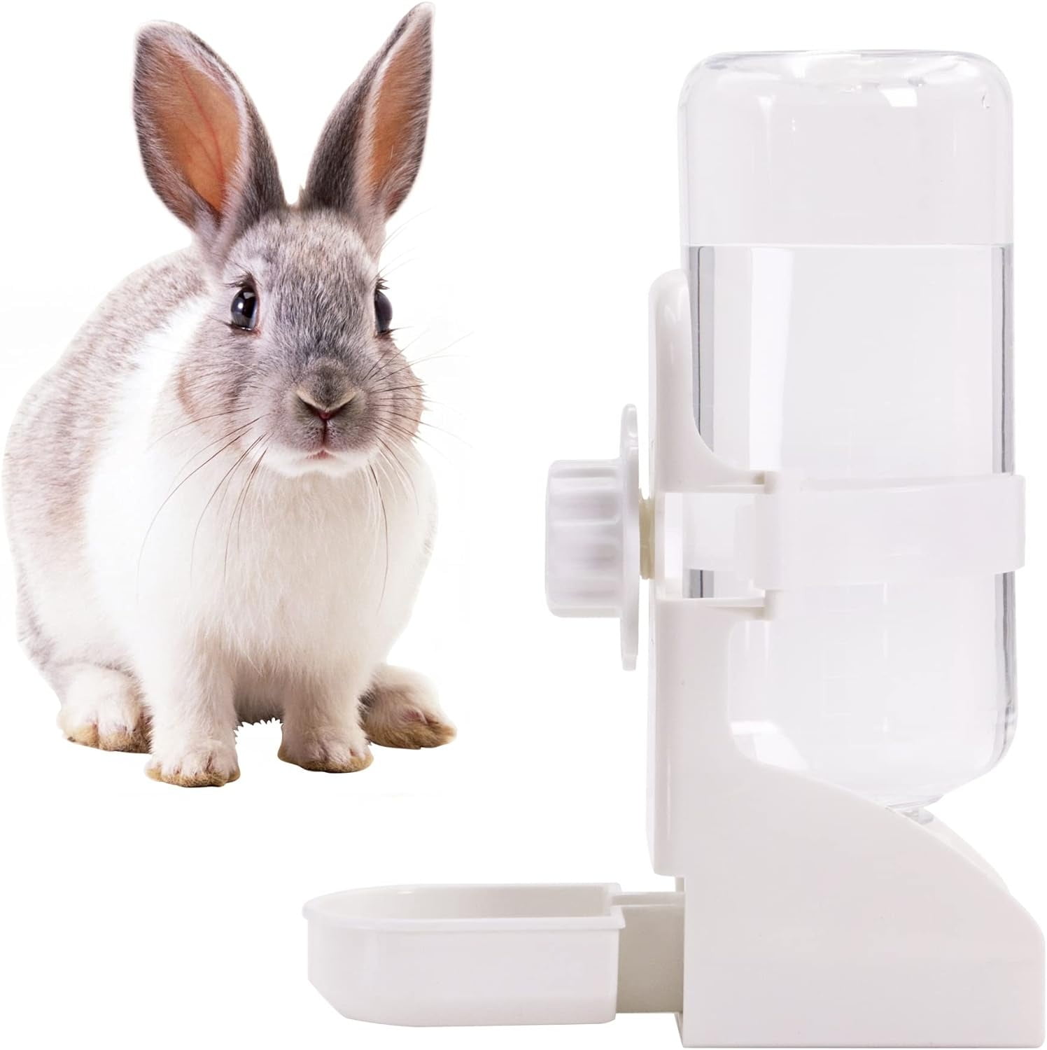 Botella de agua de conejo, dispensador de agua con suspensión para mini ...