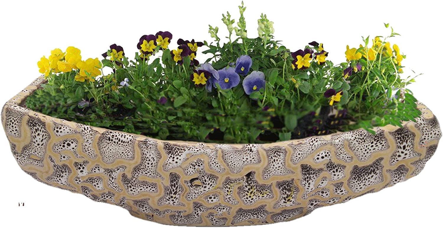 India Meets India Ceramic Boat Shaped Planter Flower Pots Indoor ...