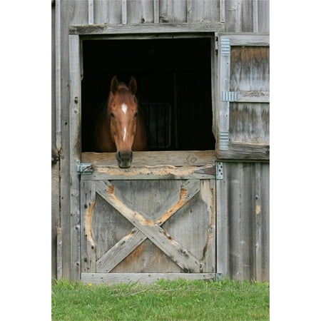 XDDJA Polyester Fabric 5x7ft Farm Horse Stall Backdrop Shed Stable ...