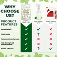 Mighty Mint Peppermint Oil Home & Patio Insect Control Spray Natural ...