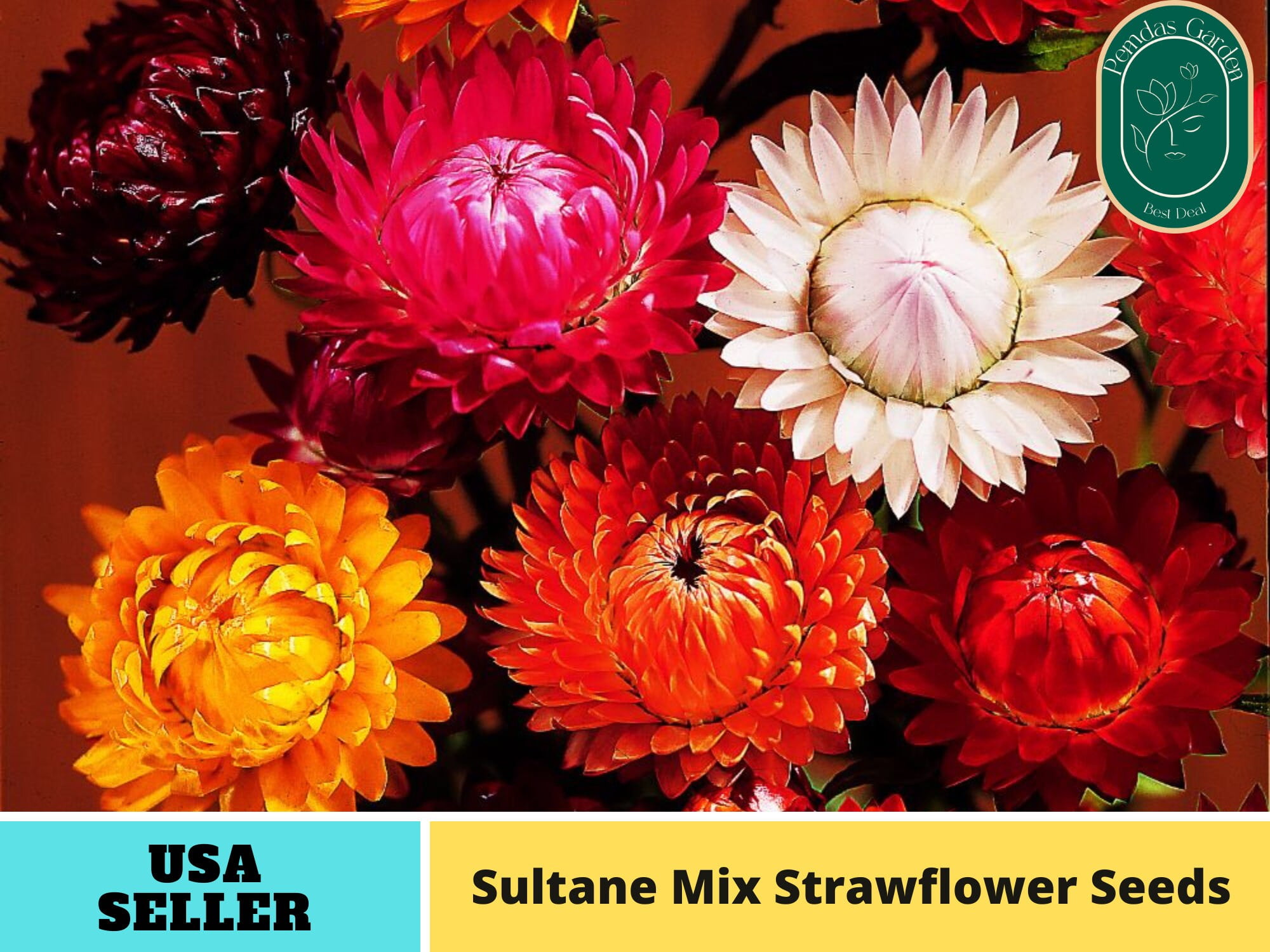 100 Seeds| Sultane StrawMix - Authentic Seeds - Perennial~non GMO ...