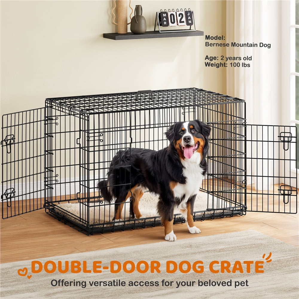 Click here for Yaheetech 48 Foldable Metal Dog Crate With 2 Doors... prices