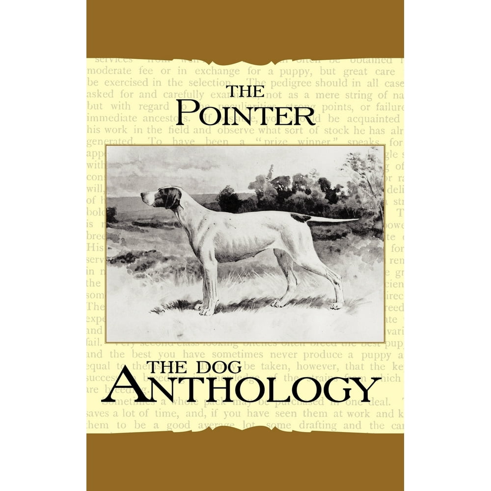 Vintage Dog Books Breed Classic: The Pointer - a Dog Anthology ...