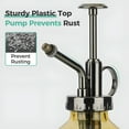 ACDANC 2026 New Glass Plant 200Ml,Vintage Spray Bottle with Top Pump ...