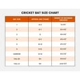 CBB Cricket Plastic Set Blaster Beach Set Bat, Balls, Stumps and Bag ...