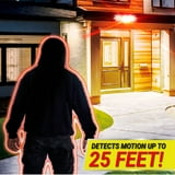 Beyond Bright X3 Ultra Bright Solar Flood Light, 270 Degree Beam ...