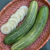 Burpee Chompers Hybrid Cucumber Vegetable Seed, 1-Pack - Walmart.com