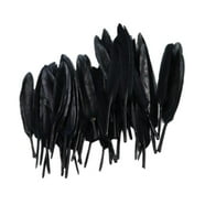 Creativity Street® Feathers, Bright Hues, 12 packs - Walmart.com