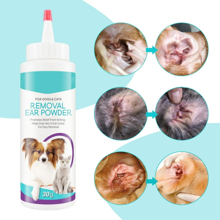 Dog Ear Infection Pet Dog Ear Hair & Hemostat Tool Set - Grooming Kit ...