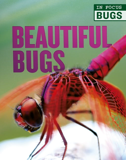 In Focus: Bugs: Beautiful Bugs (Hardcover) - Walmart.com - Walmart.com
