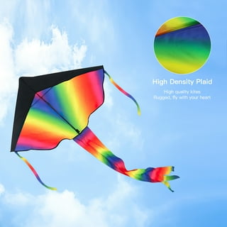 EOLO KITES Ready2Fly 22 in POP UP Butterfly Kite with Sport Bag! Ages 4 ...