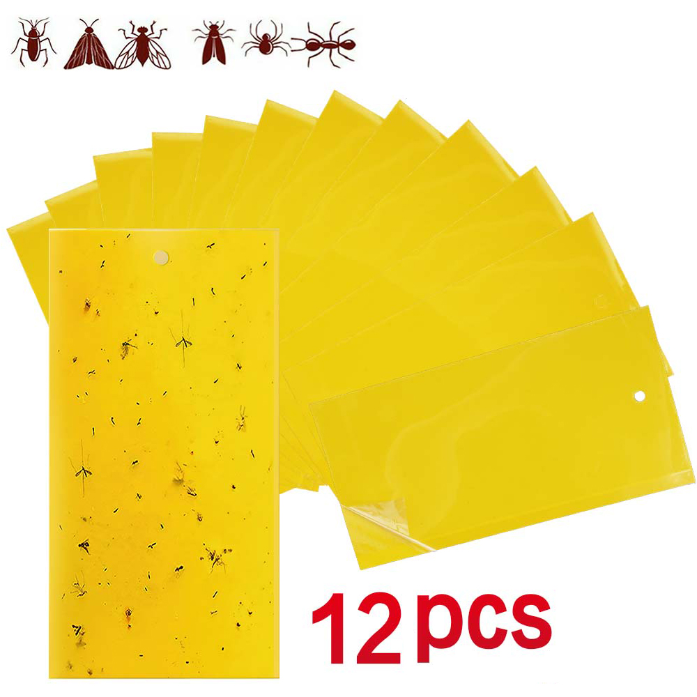 Xhy 12Pcs Sticky Fly Trap Paper Dual-Sided Yellow Killer Traps for ...