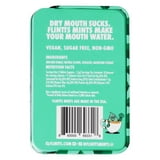 Flintts Mints Mint, Super Strong Tablets, Intense Tingling, Salivating ...