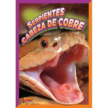 Kindergators: Hands Off, Harry! (Hardcover) - Walmart.com