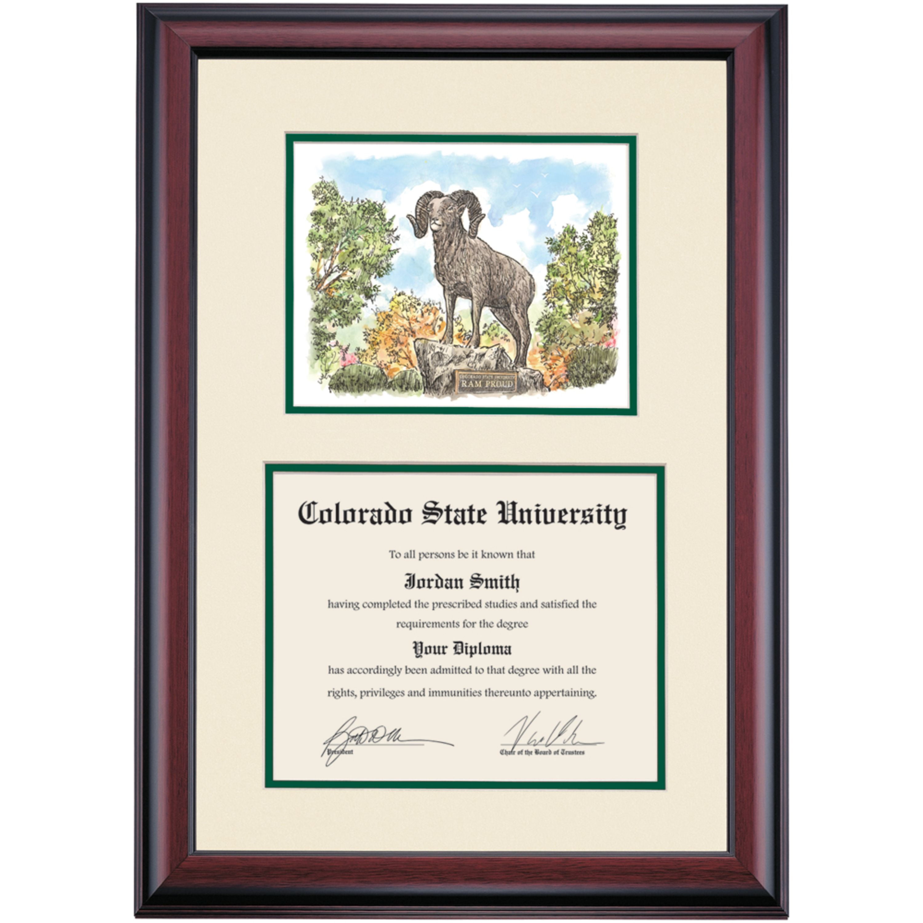OCM Diploma Frame for Colorado State University CSU, Ivory/Hunter Green ...