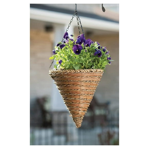 12 Inch Hanging Baskets Plants