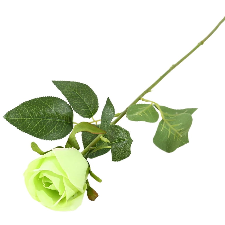 Single Green Rose Flower