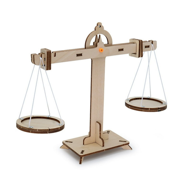 Physical Balance Instrument