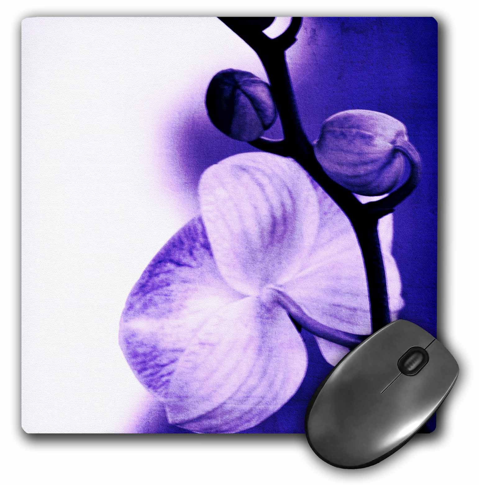 3dRose Zen Purple Orchid Flower- Floral Art- Nature, Mouse Pad, 8 by 8 ...
