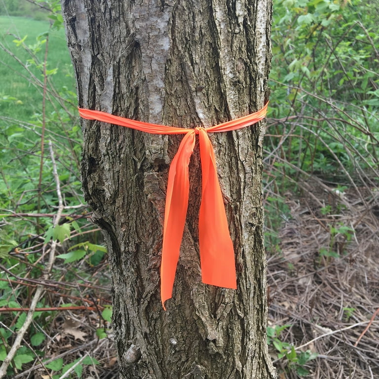 Flagging Tape William Frick Co, 50% OFF