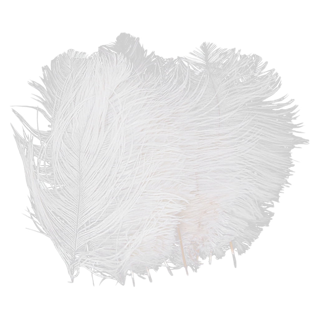 10 Pieces Feathers Embellishment for Wedding Decoration 6.7 9 - Walmart.com