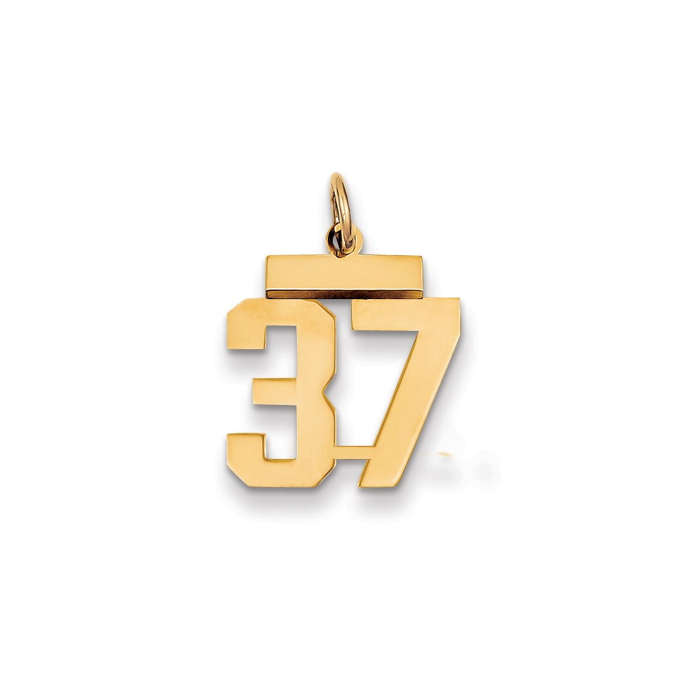 14K Yellow Gold Charm Pendant Themed 37 Small Polished Number - Walmart.com