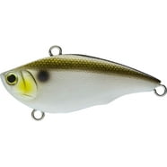 B.S. Fish Tales Super Bait Lure - Lady Bug - Walmart.com
