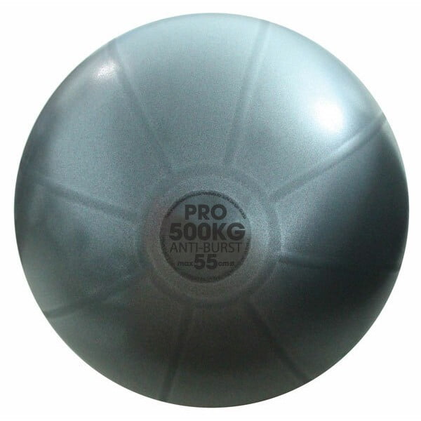 Click here for Fitness-Mad Fitness Studio Pro Swiss Ball prices